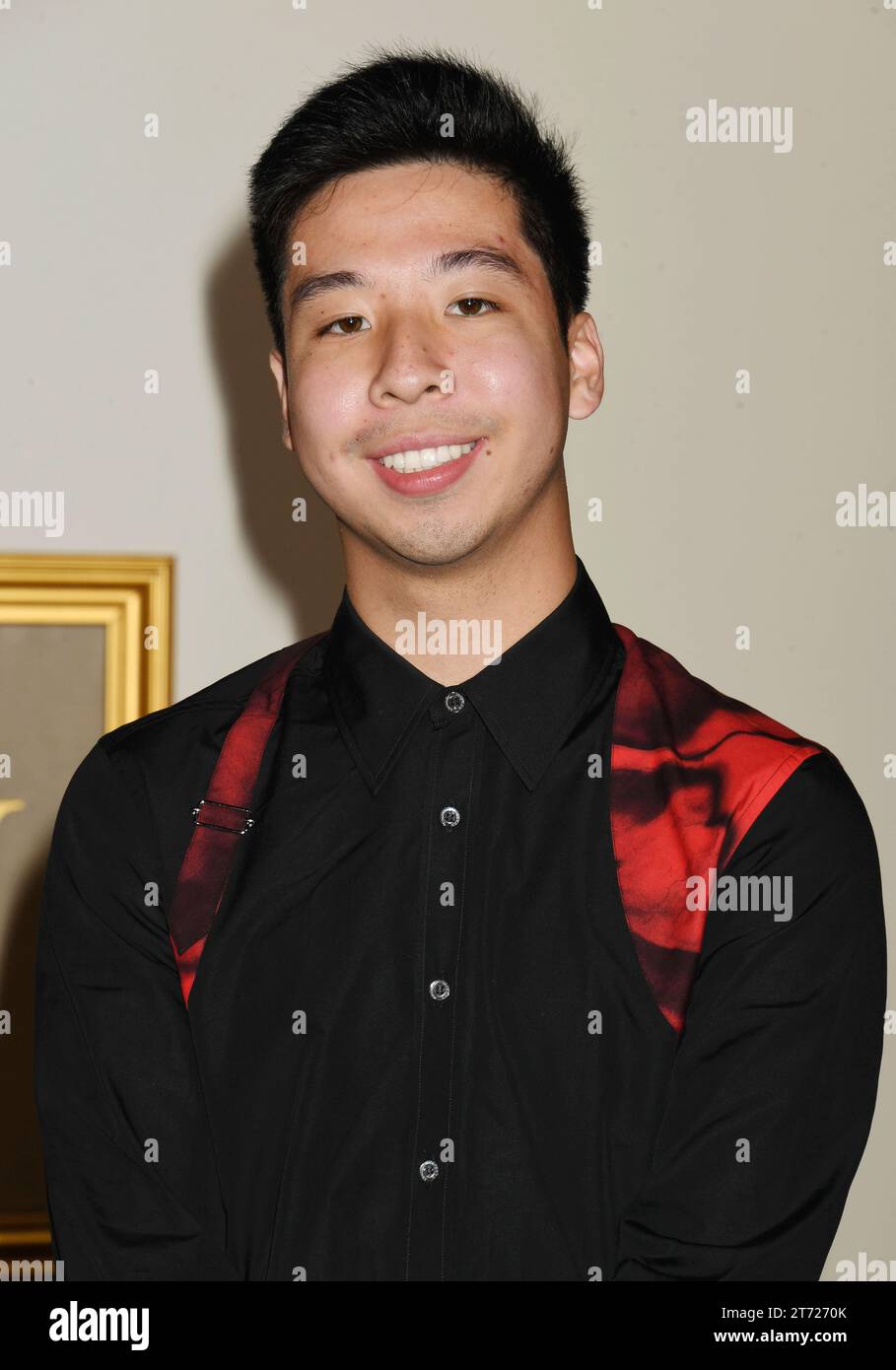 LOS ANGELES, CALIFORNIA - NOVEMBER 12: Dylan Huey attends the premiere ...