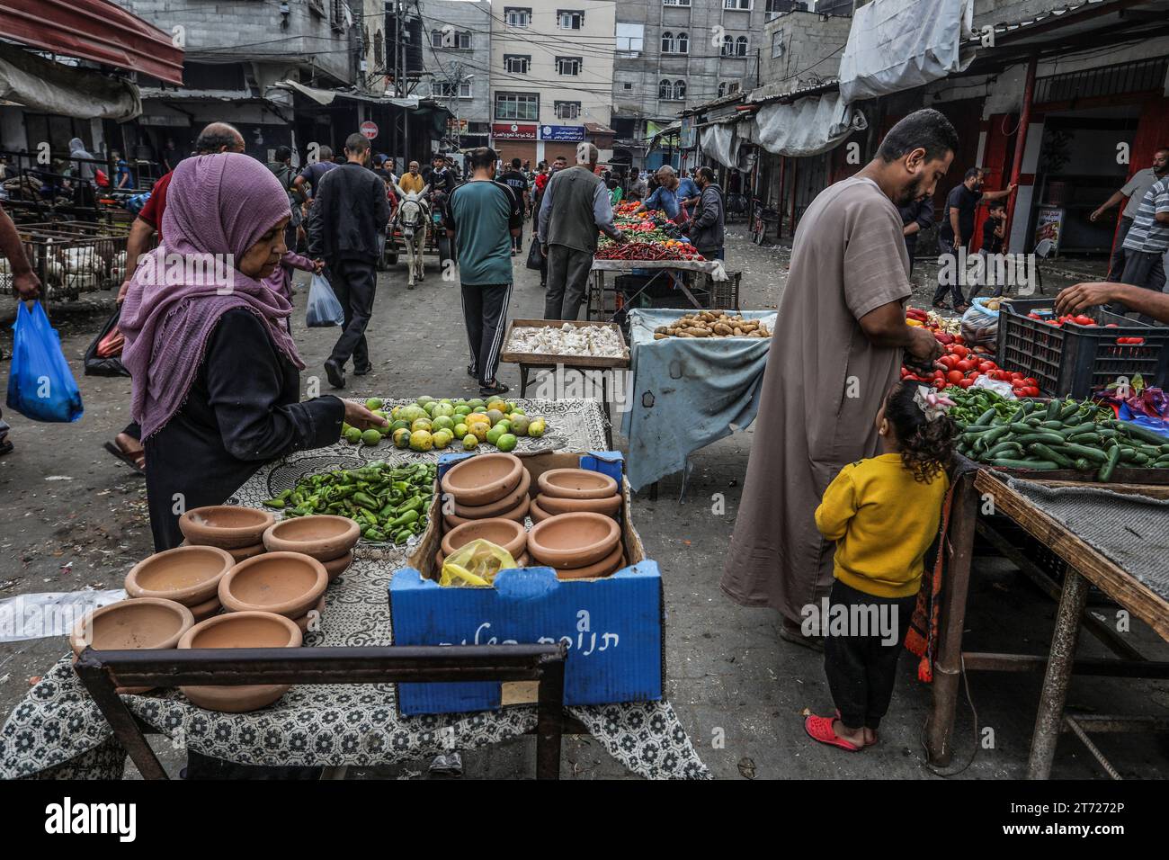Rafah, Palestinian Territories. 13th Nov, 2023. Palestinians buy food ...