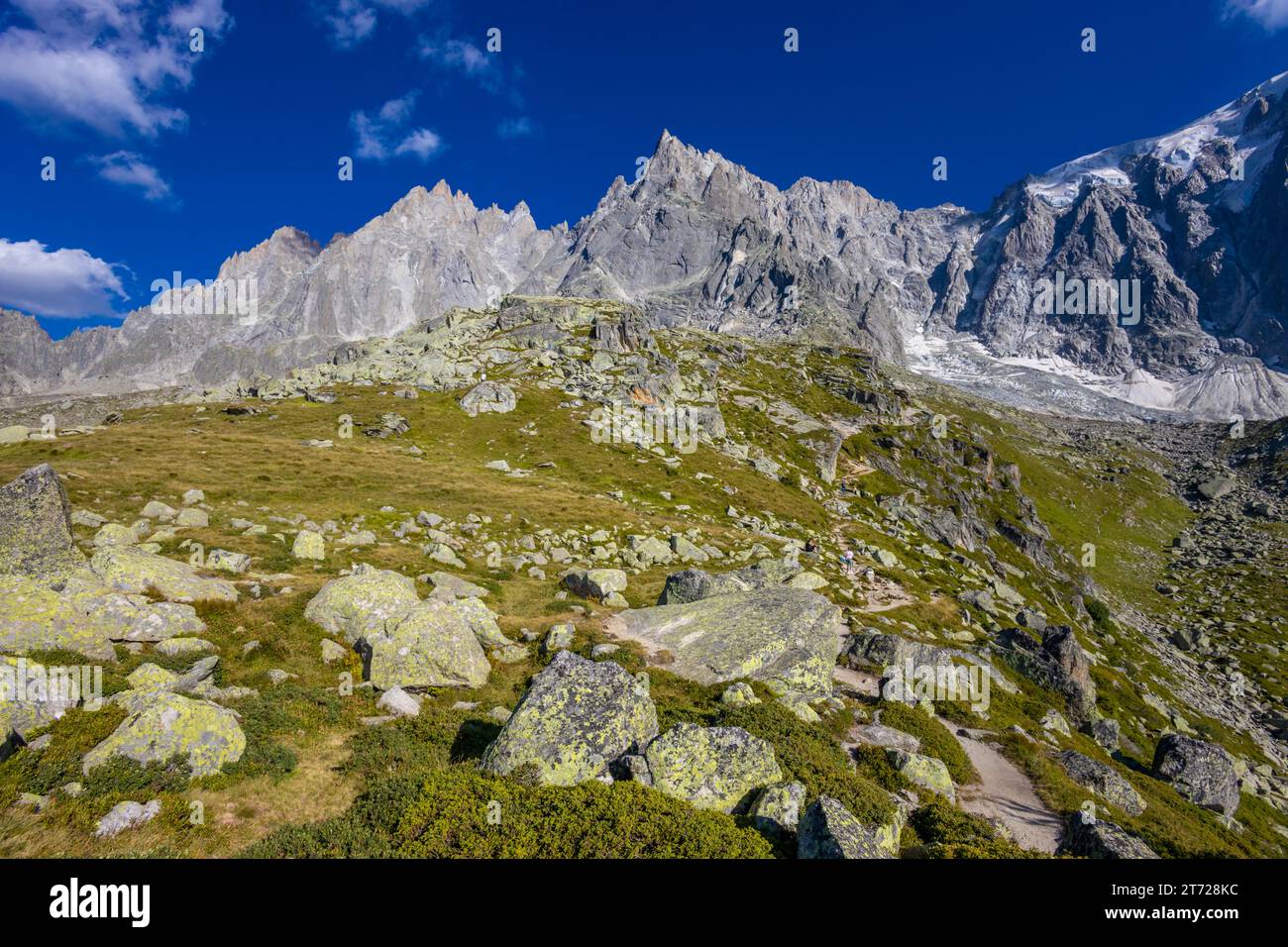 Aiguilles de Chamonix: Aiguille du Midi, Aiguille du Plan, Grepon ...