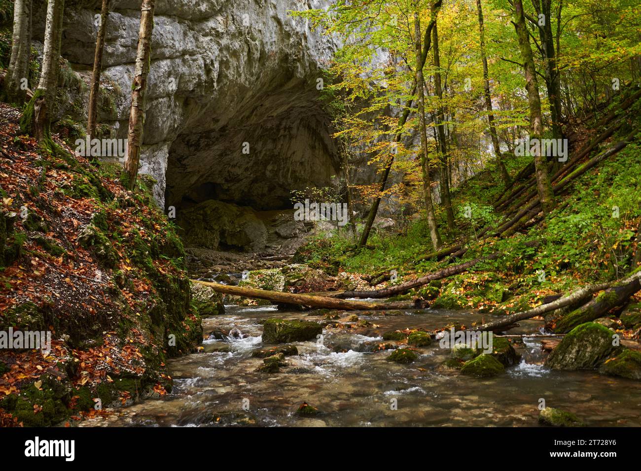 Vibrant autumnal landscape of a large cave entrance with a river ...