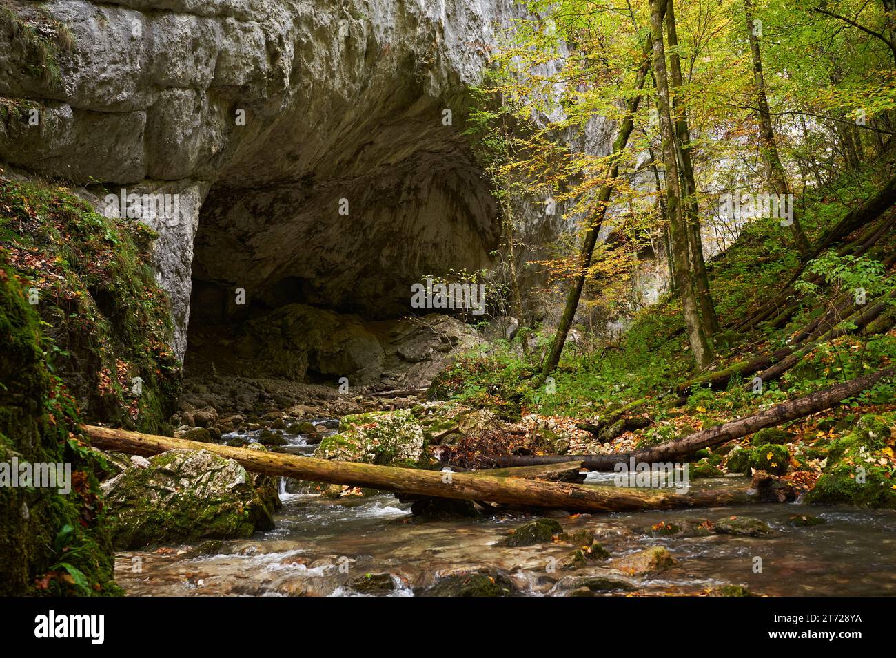 Vibrant autumnal landscape of a large cave entrance with a river ...
