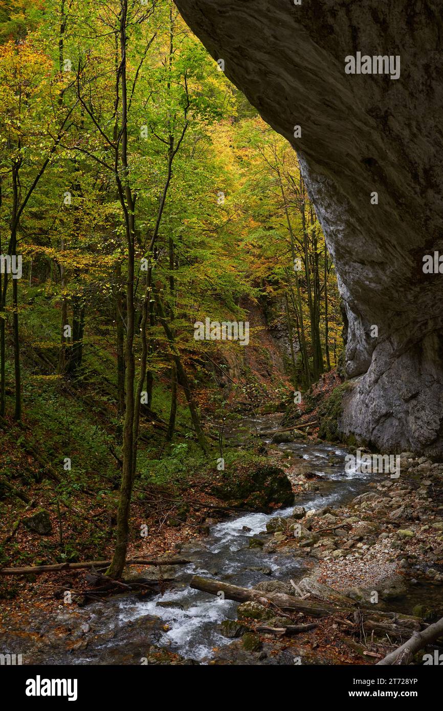 Vibrant autumnal landscape of a large cave entrance with a river ...