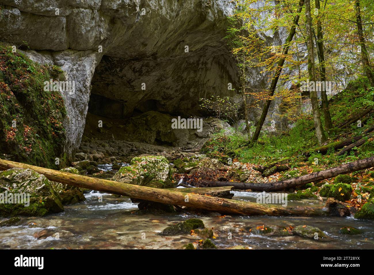 Vibrant autumnal landscape of a large cave entrance with a river ...