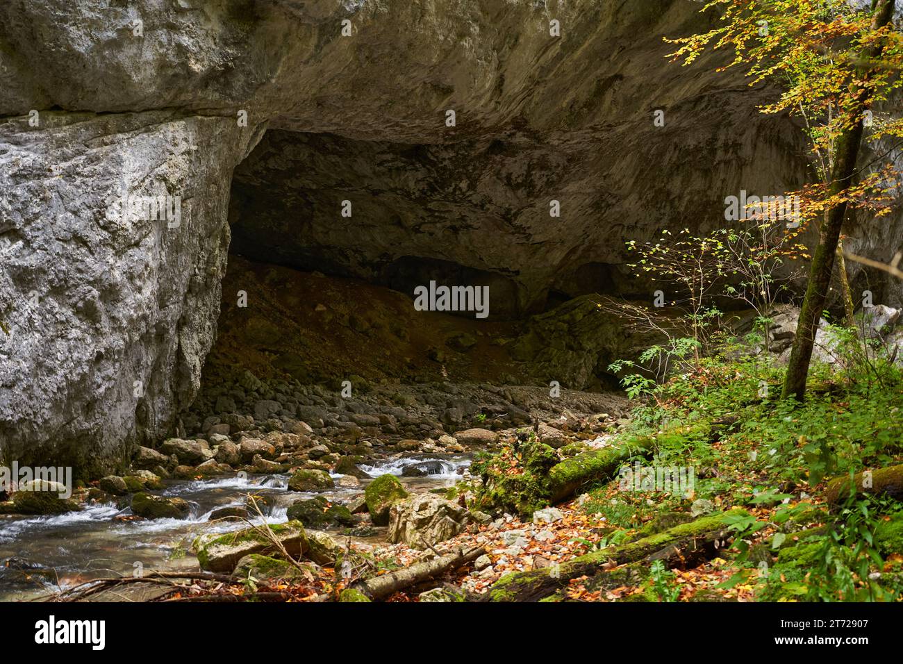 Vibrant autumnal landscape of a large cave entrance with a river ...