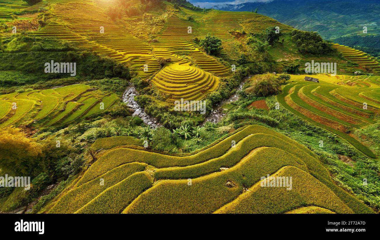 Aerial view of Rice terraces in Mu cang chai, Vietnam Stock Photo - Alamy