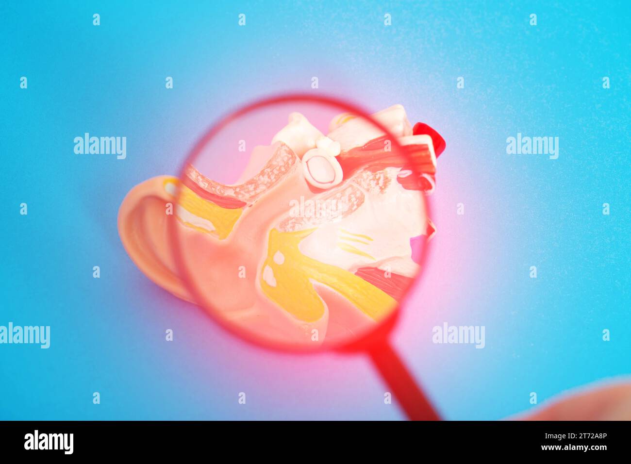 Medical mockup of an inflamed ear on a blue background under a ...
