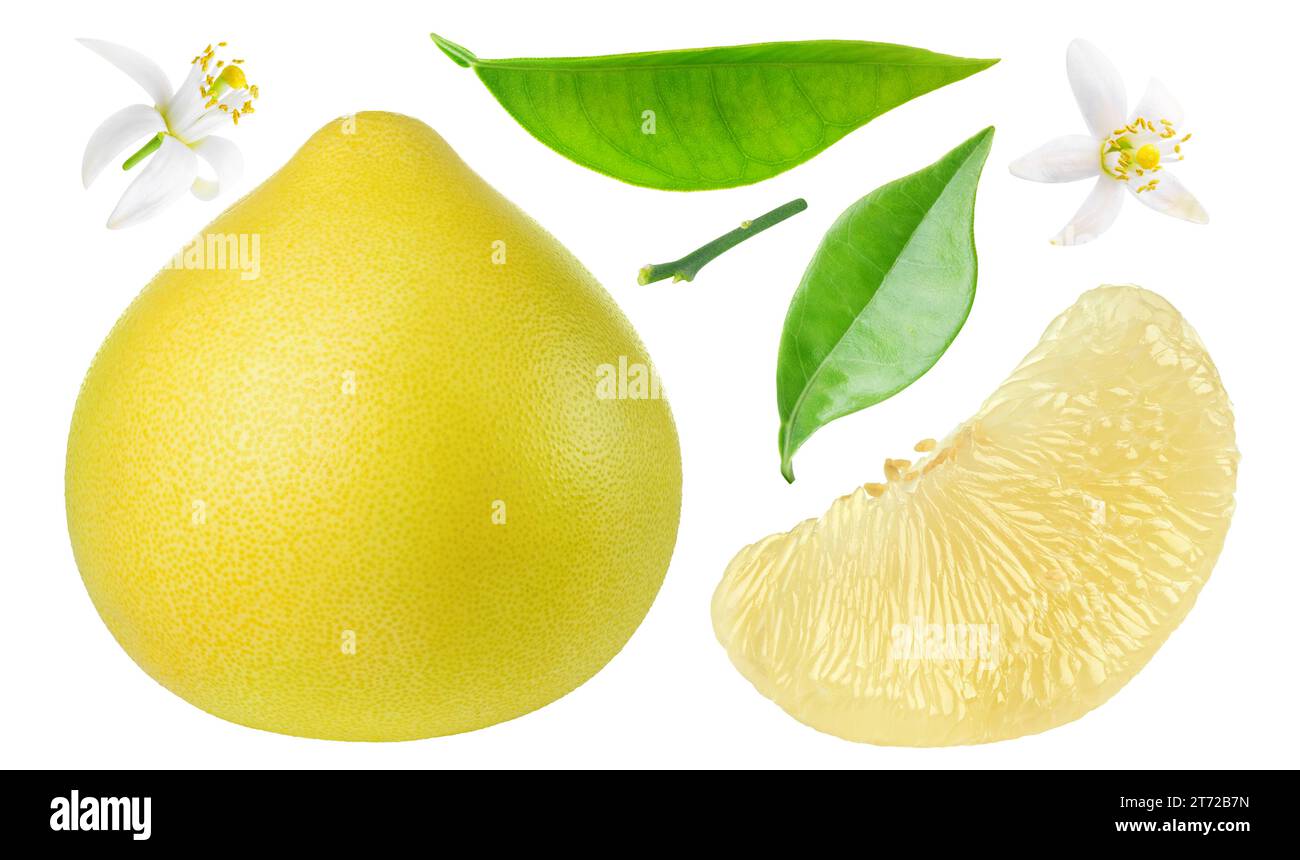 Pummelo whole fruit, peeled segment, leaves and blossoms isolated on ...
