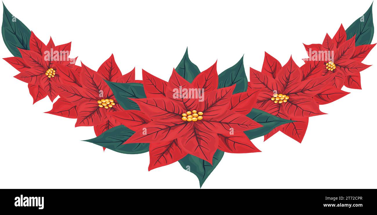 Isolated red poinsettia flower frame, border, divider. Mexican ...