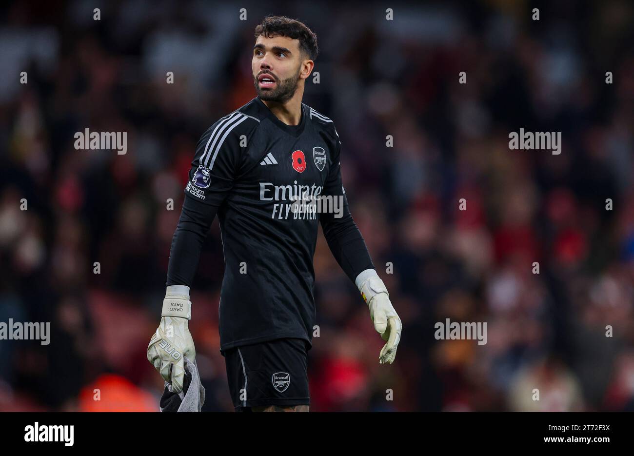 Raya arsenal november 2023 hi-res stock photography and images - Alamy