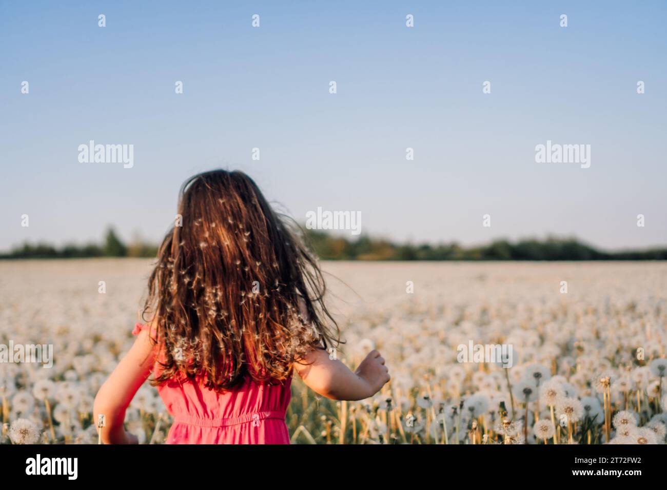 Rear view of happy little girl with brown hair running in meadow full ...