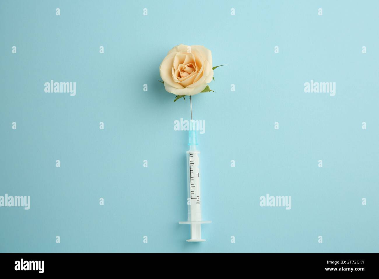 Medical syringe and beautiful rose on light blue background, top view ...