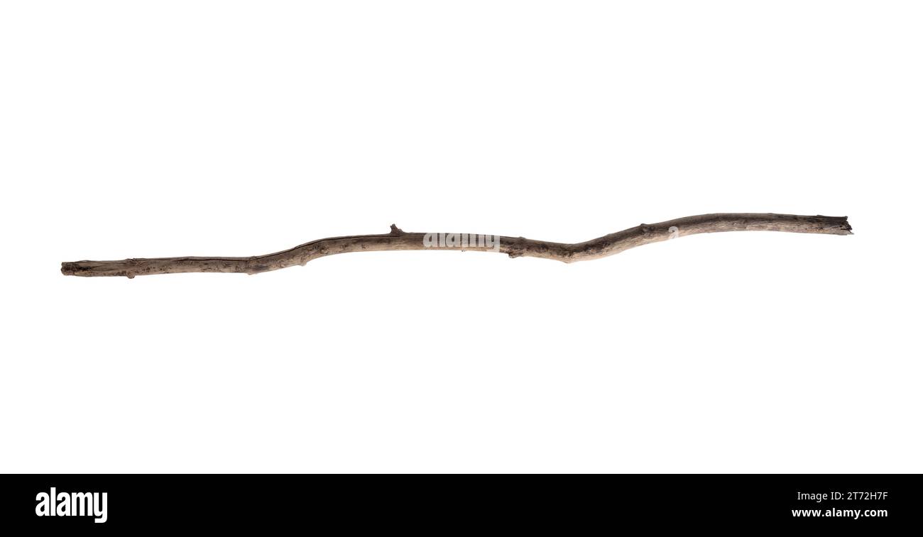 One old wooden stick isolated on white Stock Photo - Alamy
