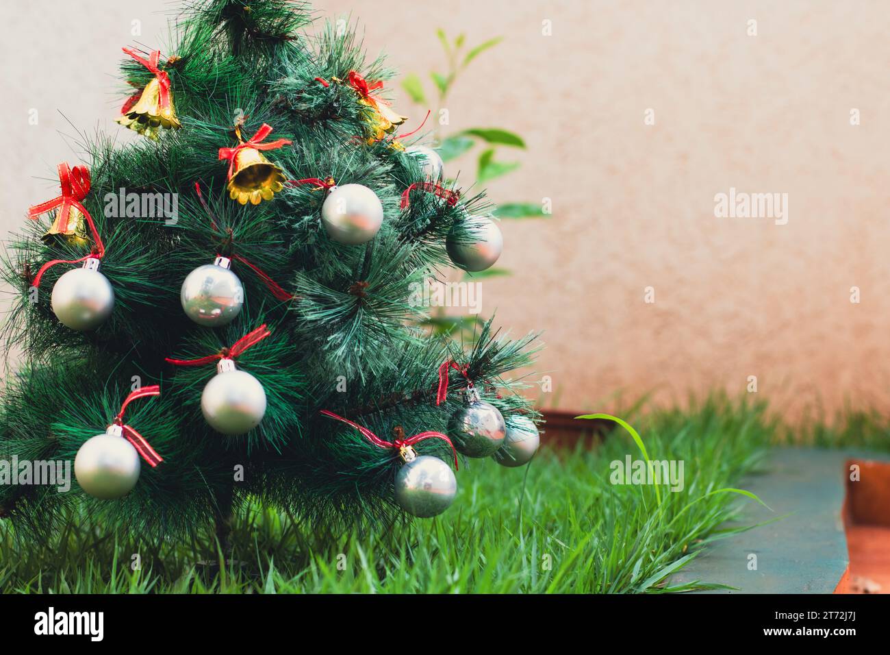 Christmas Holiday at Tropical Summer, Christmas tree at Yard Stock ...