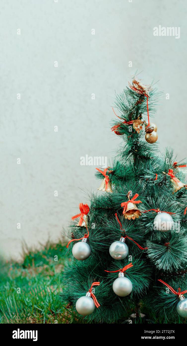 Christmas Holiday at Tropical Summer, Christmas tree at Yard Stock ...