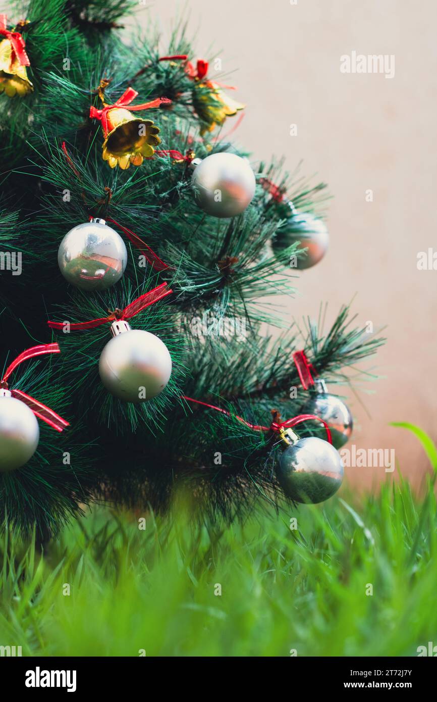 Christmas Holiday at Tropical Summer, Christmas tree at Yard Stock ...