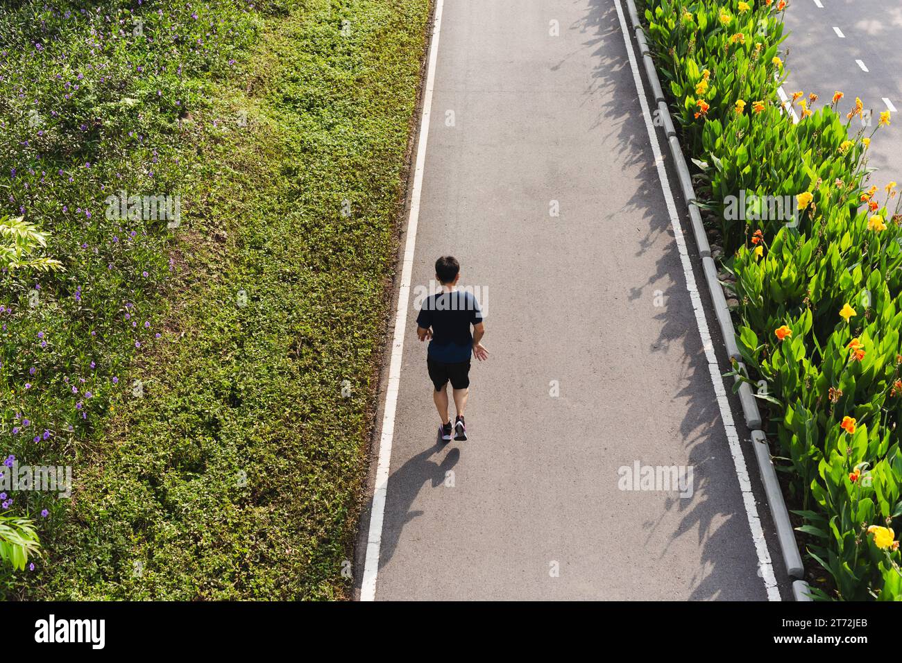 Aerial top view man jogging hi-res stock photography and images - Alamy
