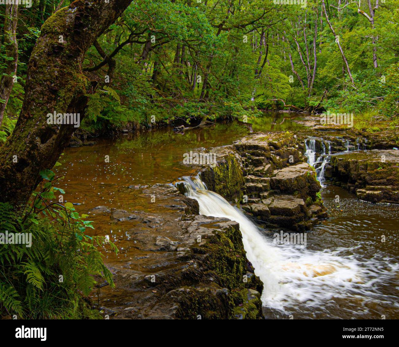 Serene waterfall cascades down rocky formations hi-res stock ...