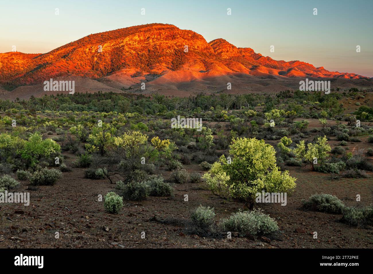 First light on Heysen Range in Ikara-Flinders Ranges National Park ...
