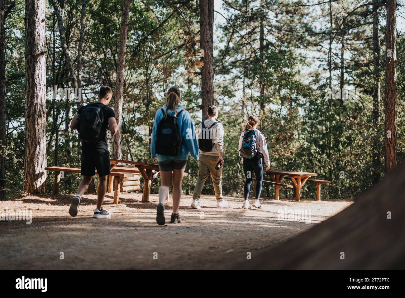 A group of friends hikes through a vibrant autumn forest, enjoying the ...