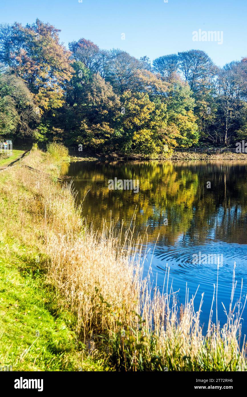 Worthington Lake is a reservoir near Standish, Wigan Stock Photo - Alamy