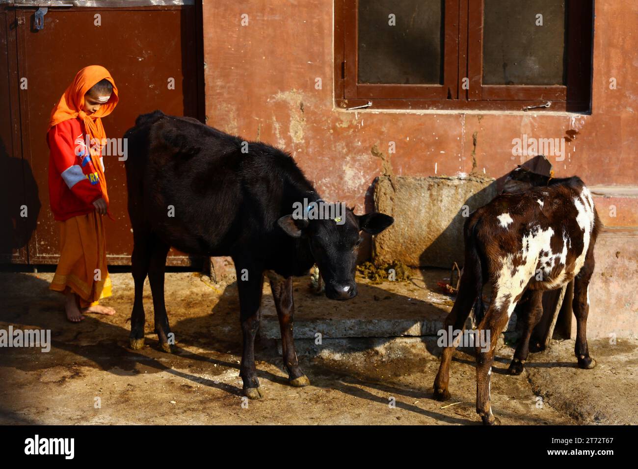 Nepal. 13th Nov, 2023. On November 13, 2023, in Kathmandu, Nepal. A ...