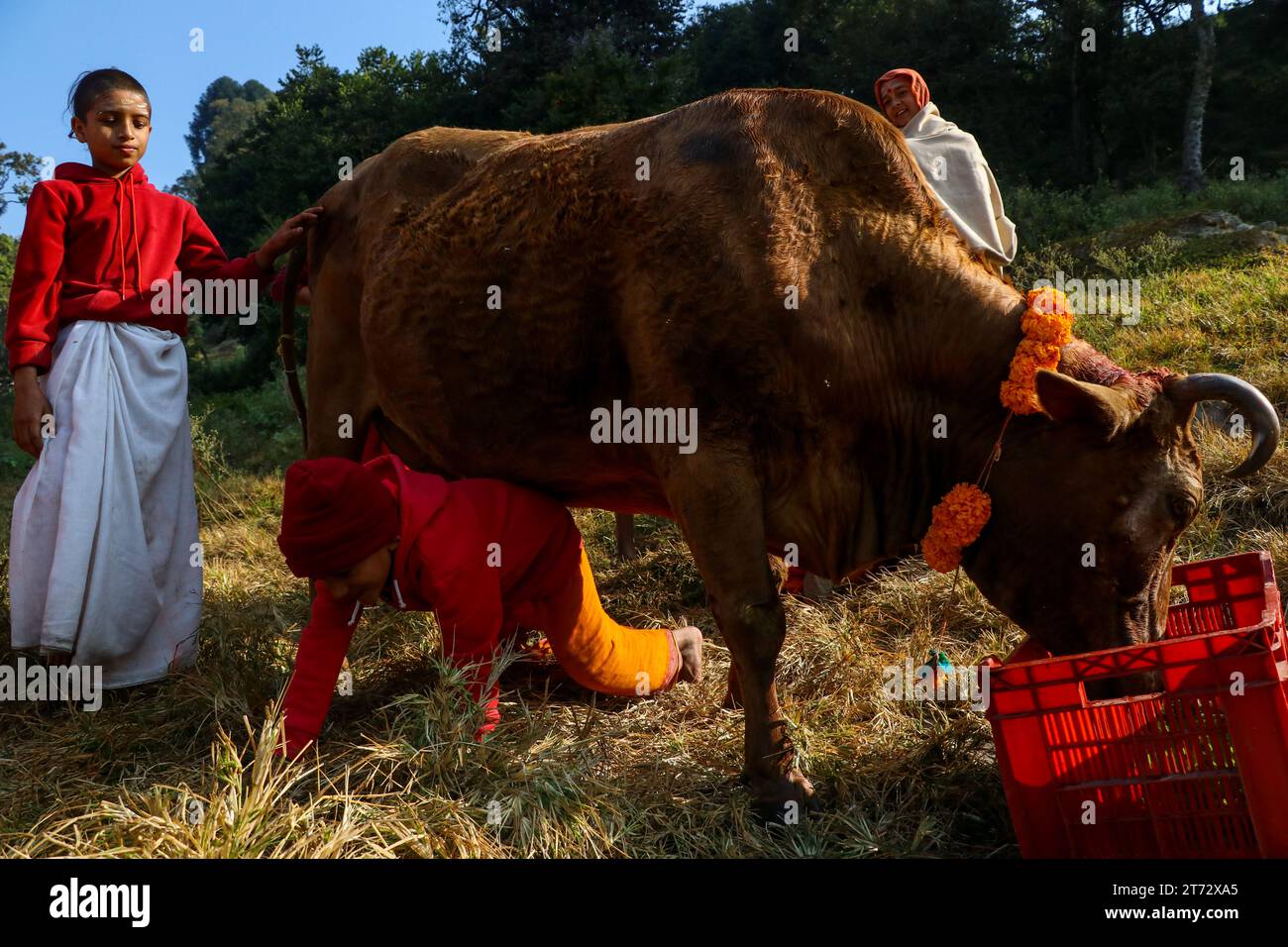 On November 13, 2023, in Kathmandu, Nepal. A young priest crawls ...