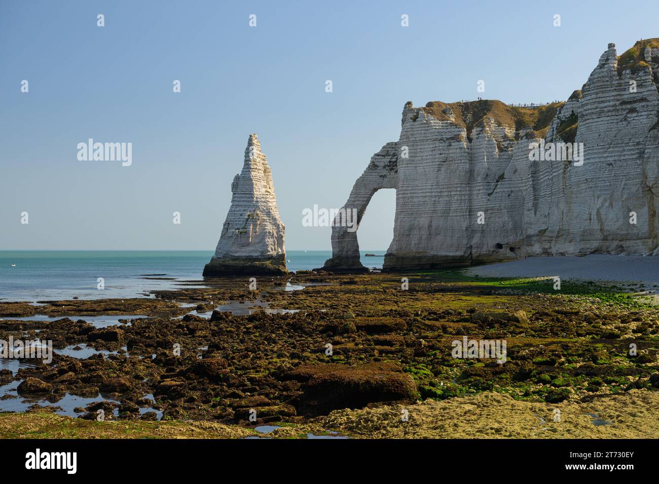 Chalk cliffs of Etretat (Normandy France) on a sunny day in summer ...
