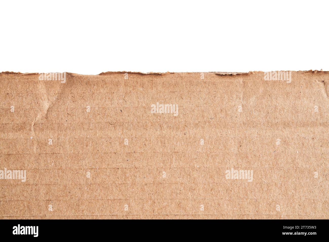 One ripped piece of cardboard material over isolated white background ...