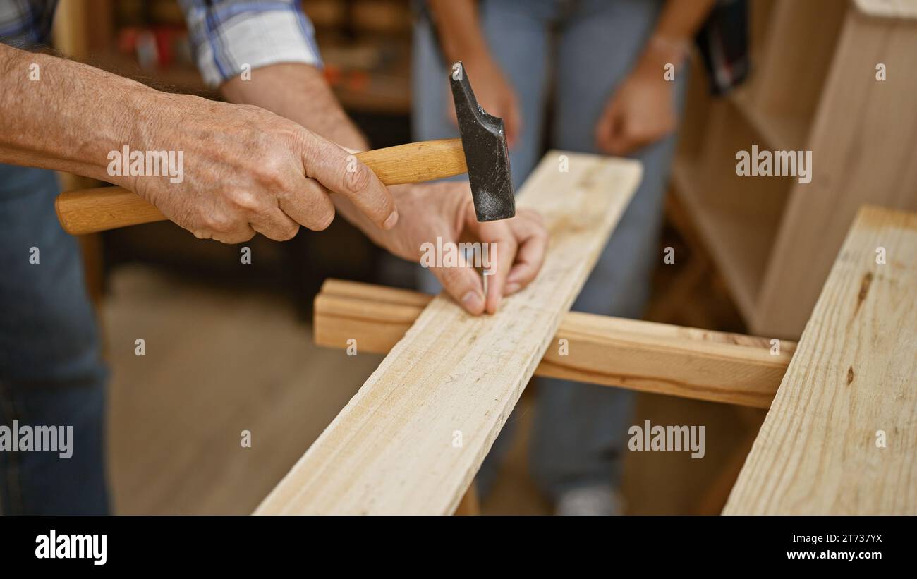Two skilled carpenters, a dynamic duo, driving a nail into a wood plank ...