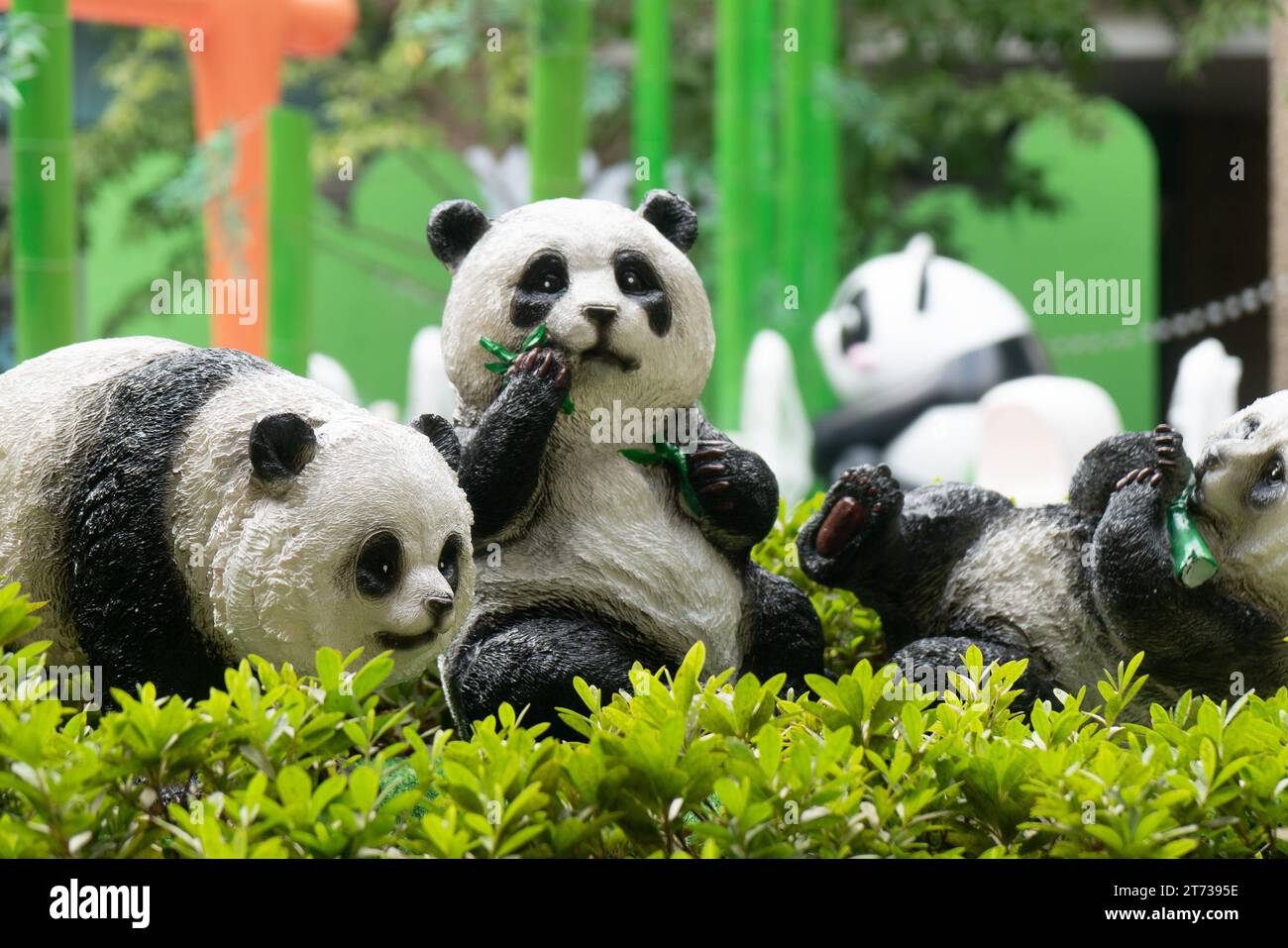 Shanghai, China. 13th Nov, 2023. SHANGHAI, CHINA - NOVEMBER 13, 2023 ...