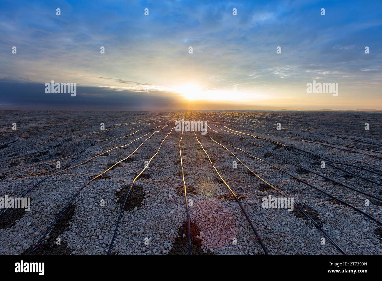 Copper leaching from primary sulfides, biological and chemical ...