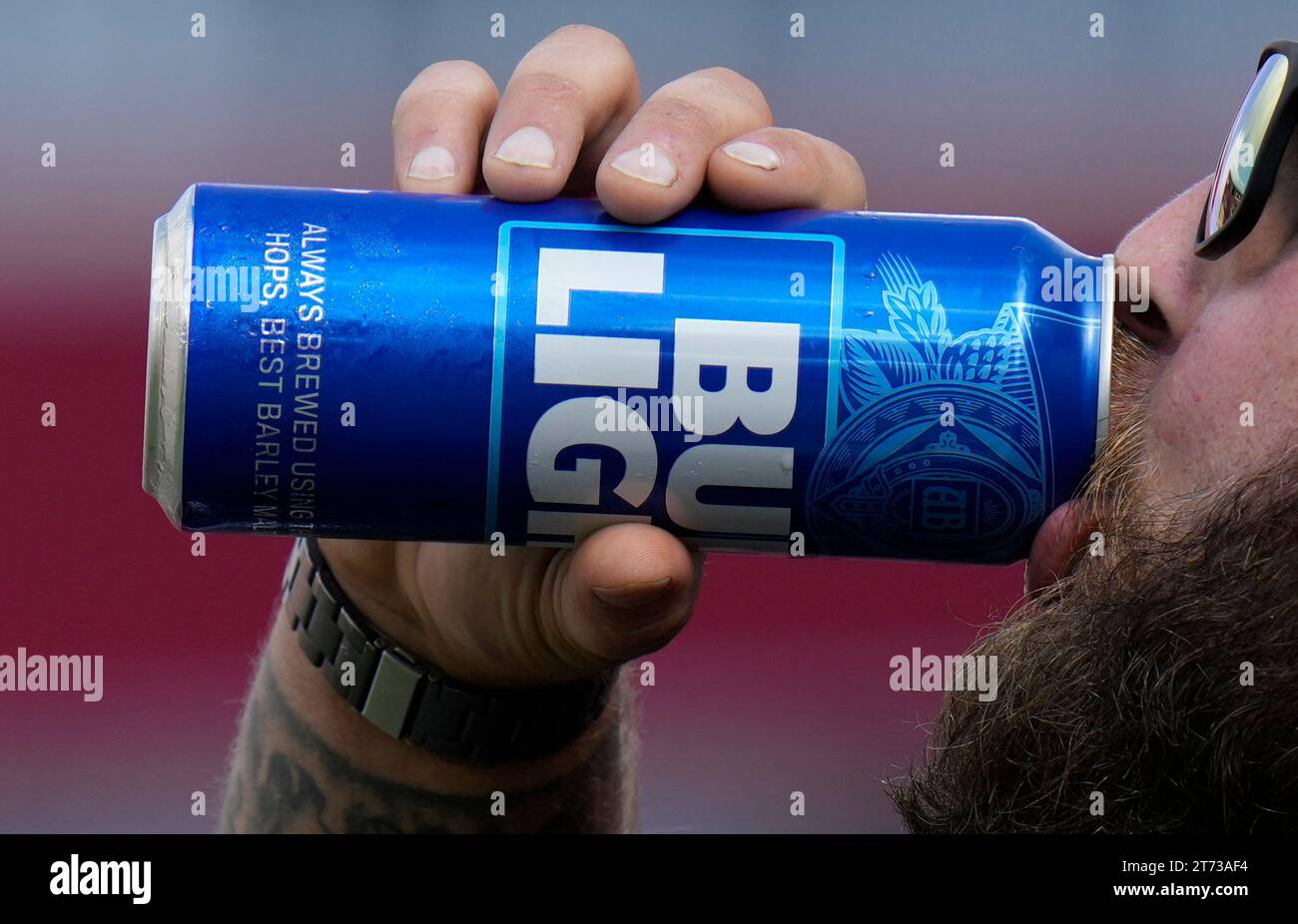 A football fan drinks a Bud Light beer before an NFL football game ...