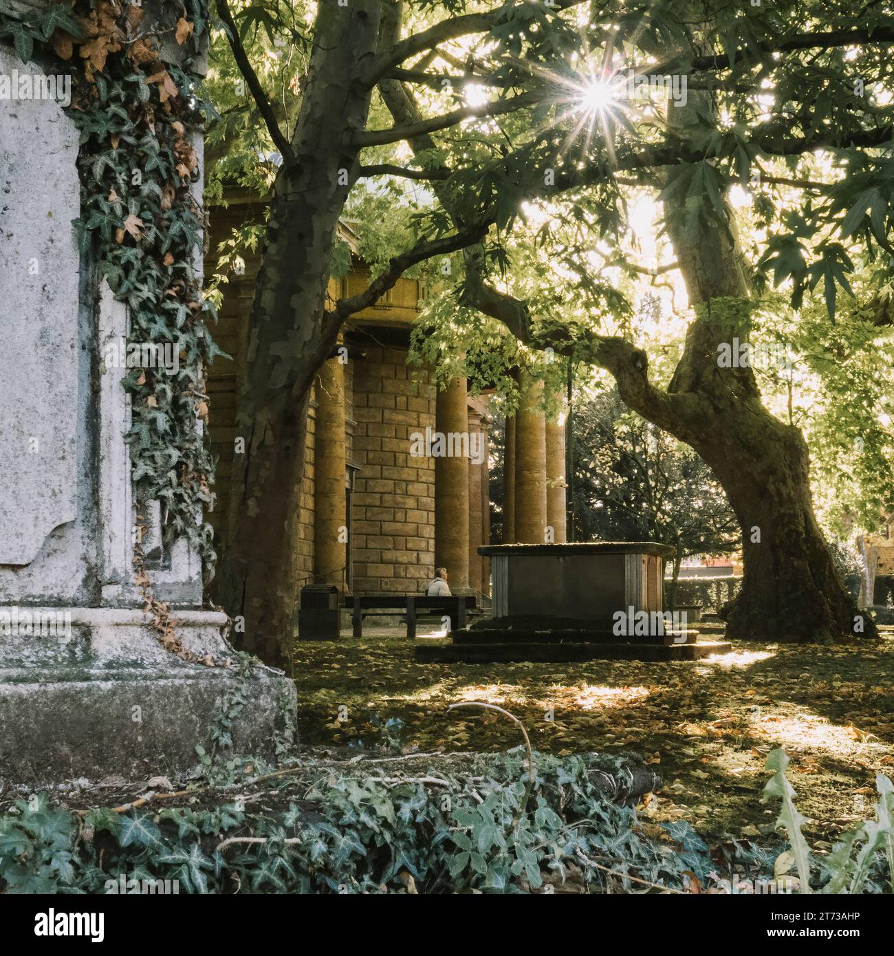 Church yard at St. Mary's Church in Banbury with light coming through ...