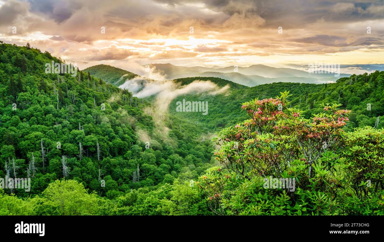 The outdoor fog hi-res stock photography and images - Alamy