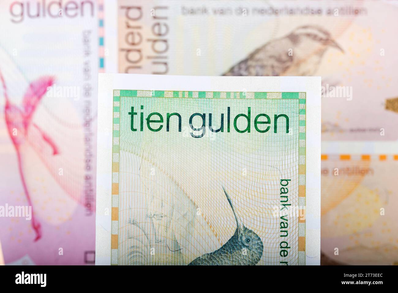 Netherlands Antillean money - guilder a business background Stock Photo ...
