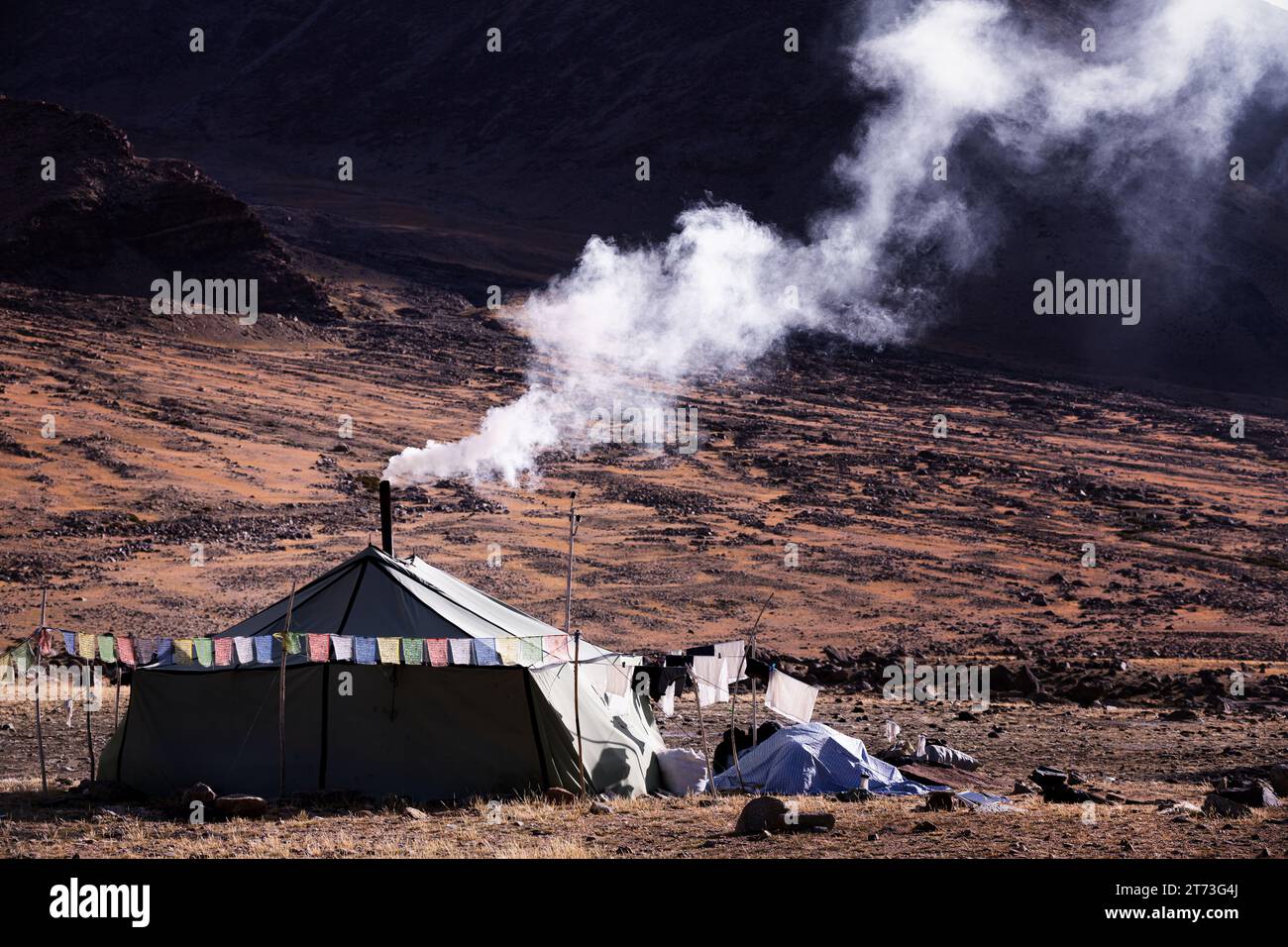 Nomad tent used by the Changpa nomads, Ladakh, India Stock Photo - Alamy