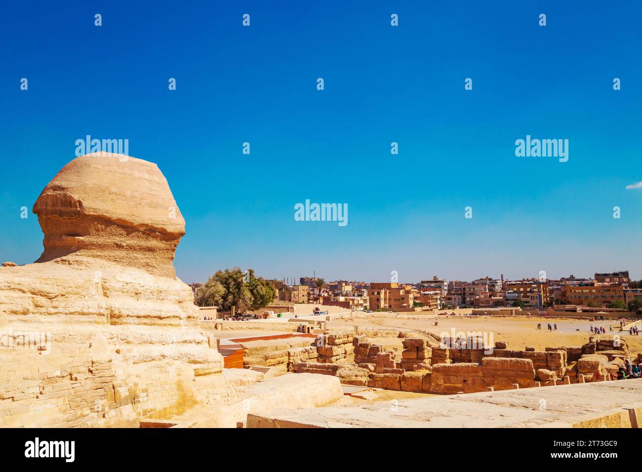 The Great Sphinx with Giza in the background. Back view. Giza, Egypt ...
