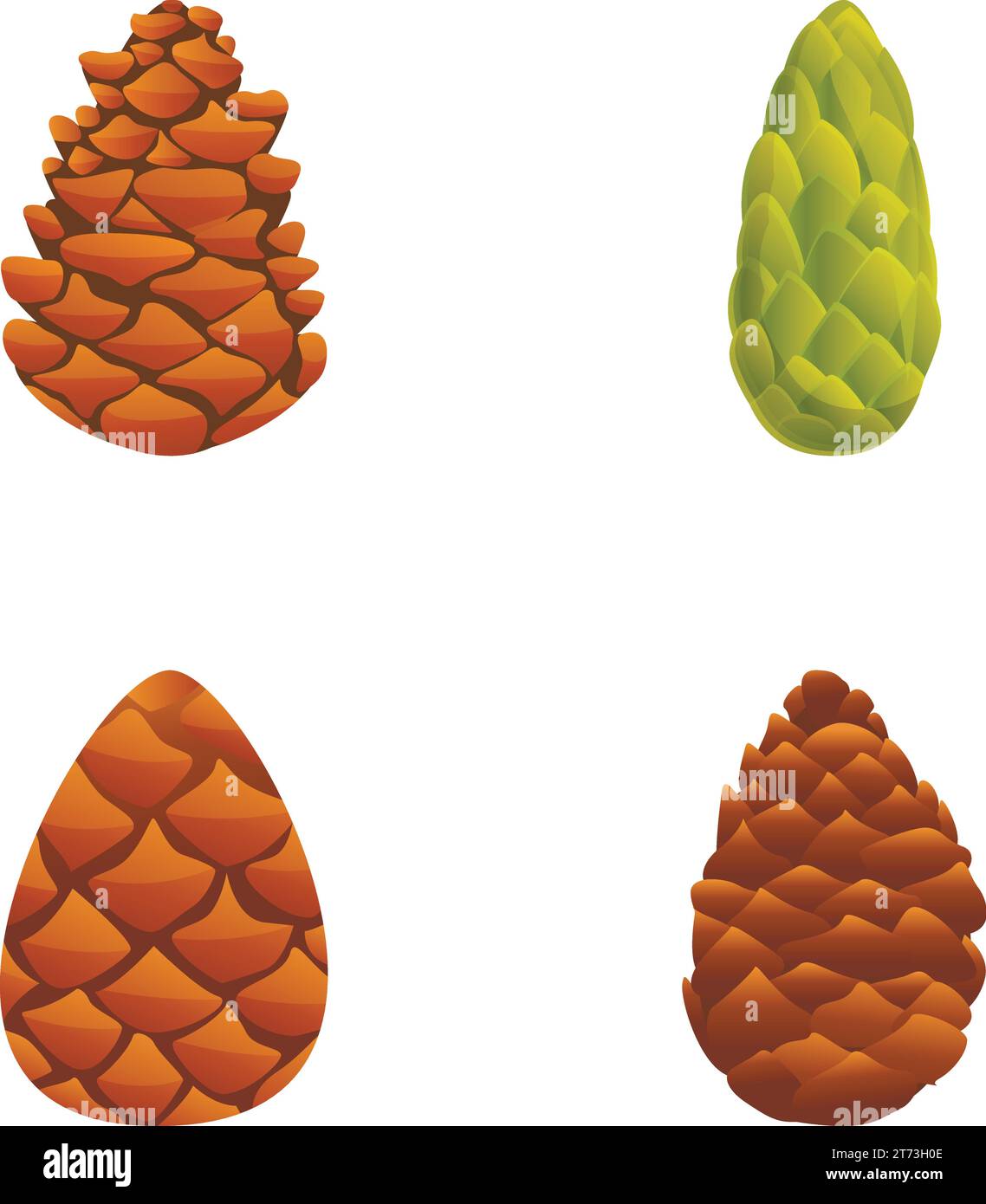 Conifer cone icons set cartoon vector. Various coniferous tree cone ...