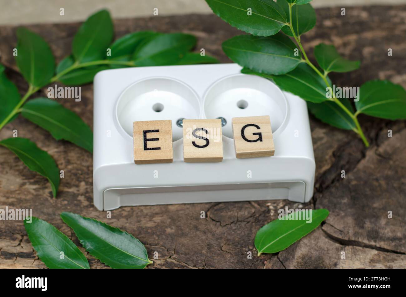 The concept of environmental conservation. Environmental Social ...