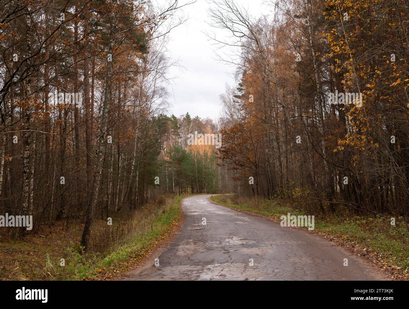 autumn road landscape forest golden trees Stock Photo - Alamy