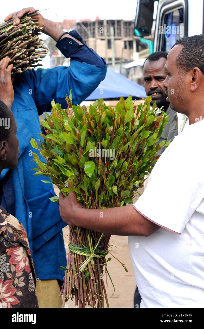 Harare street hi-res stock photography and images - Alamy