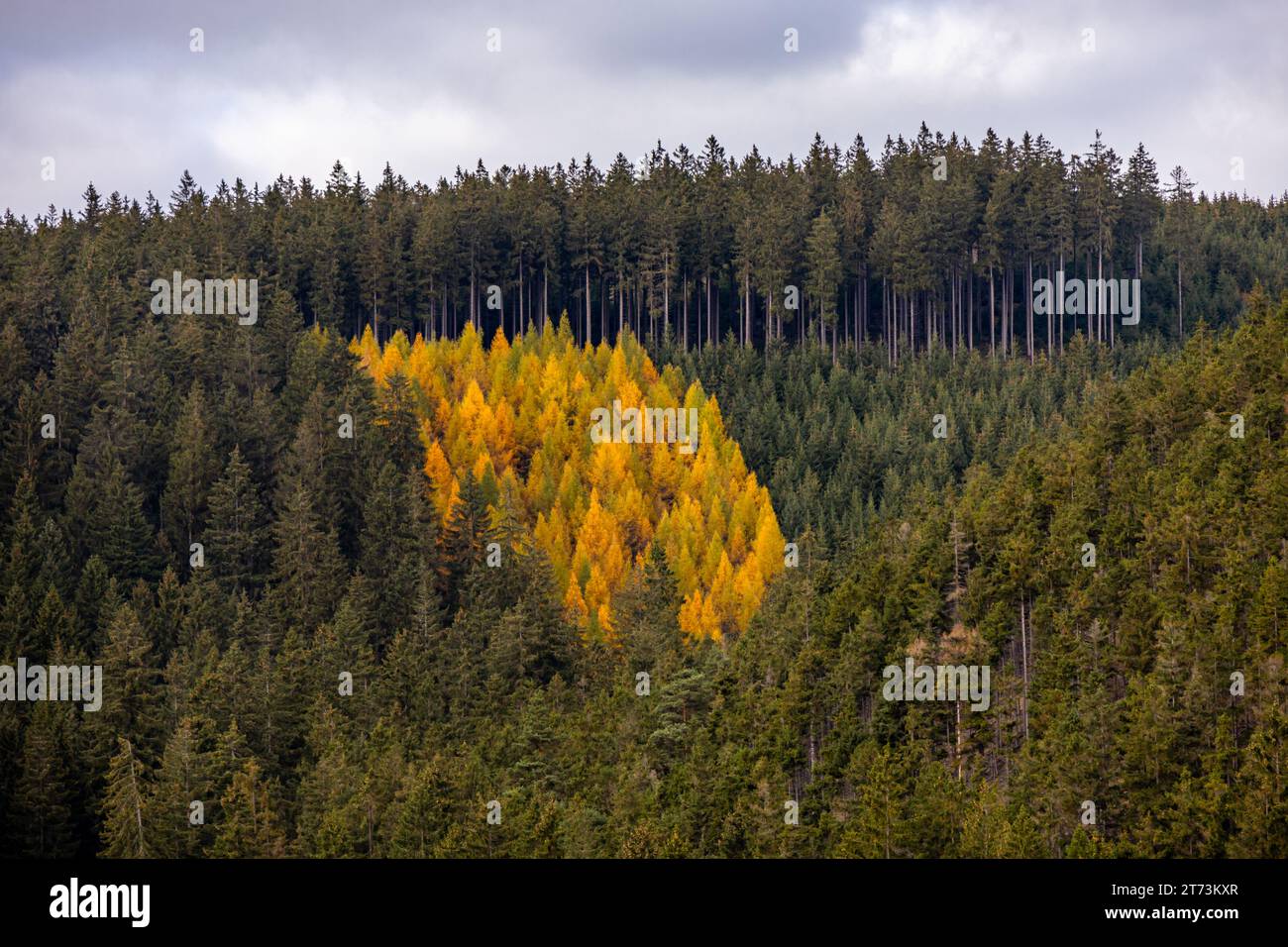 Autumn hike around the Ohratal dam near Luisenthal - Thuringian Forest ...