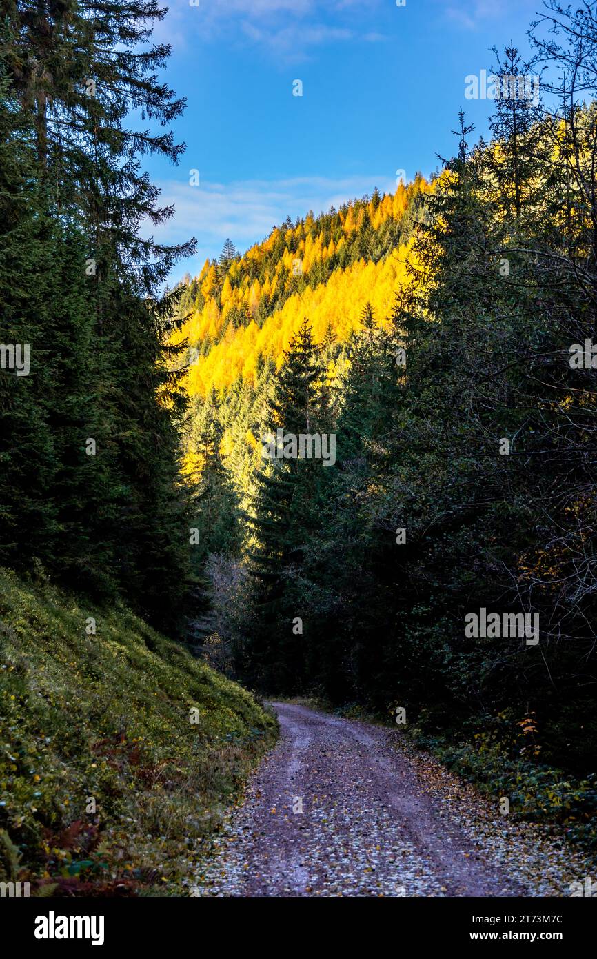 Autumn hike around the Ohratal dam near Luisenthal - Thuringian Forest ...