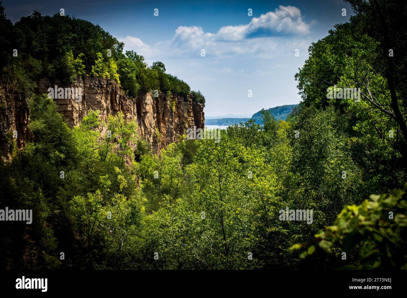 The Blue Ridge Trail in Pennsylvania presents a stunning natural ...