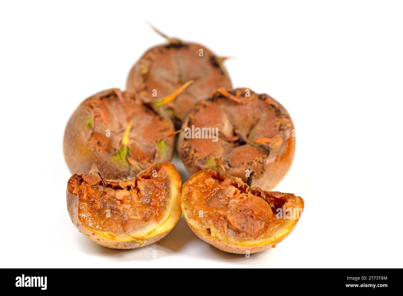 Medlars, Mespilus germanica, fruits against white background Stock ...