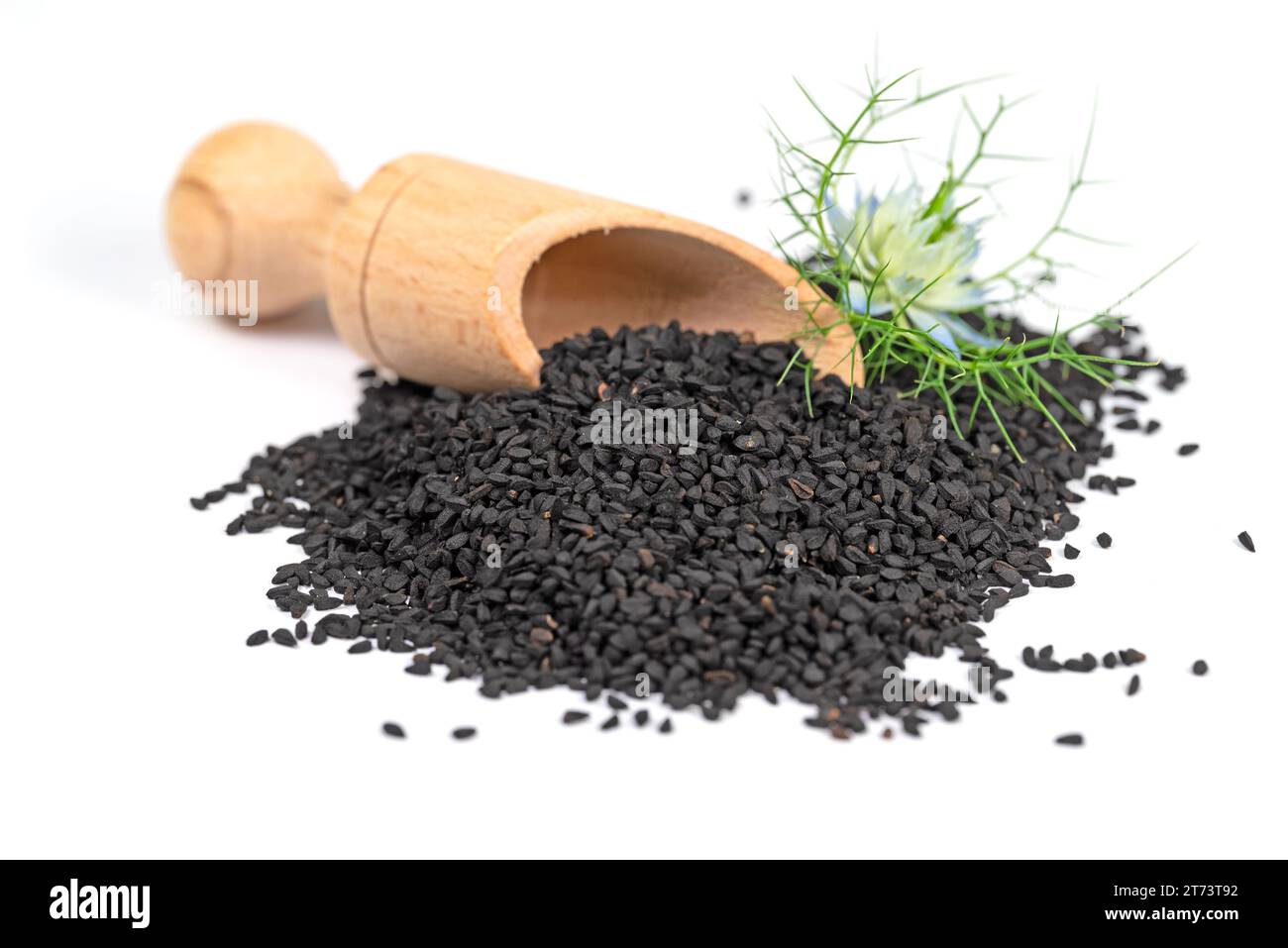 Black cumin seeds, Nigella sativa, against white background Stock Photo ...