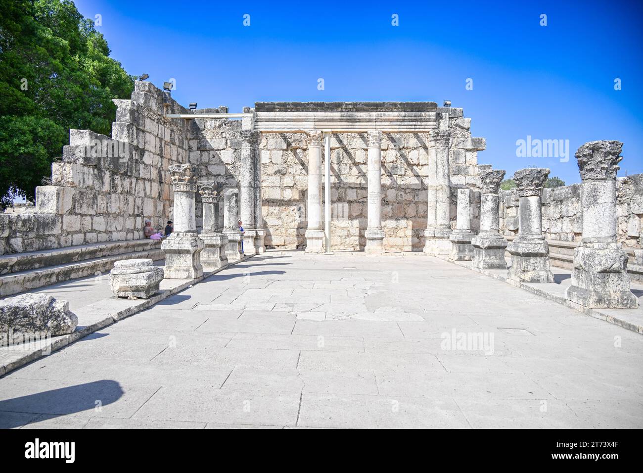 The ruins of a historic city, with trees and people walking around the ...