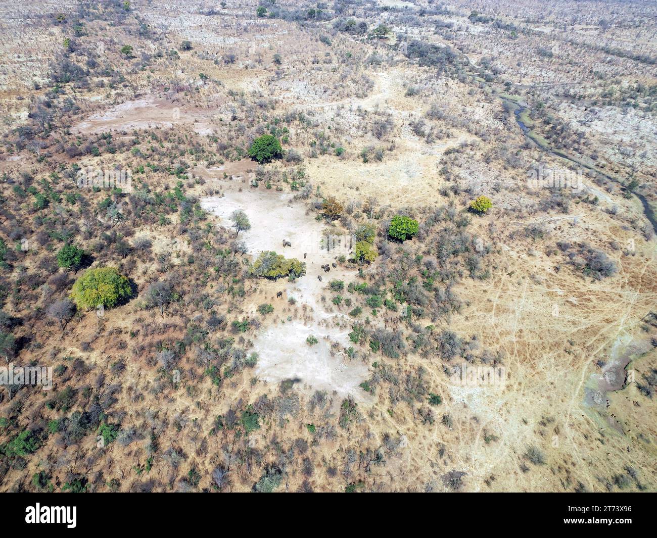 dry season, Zambezi National Park from the air, Zimbabwe, Africa Stock ...
