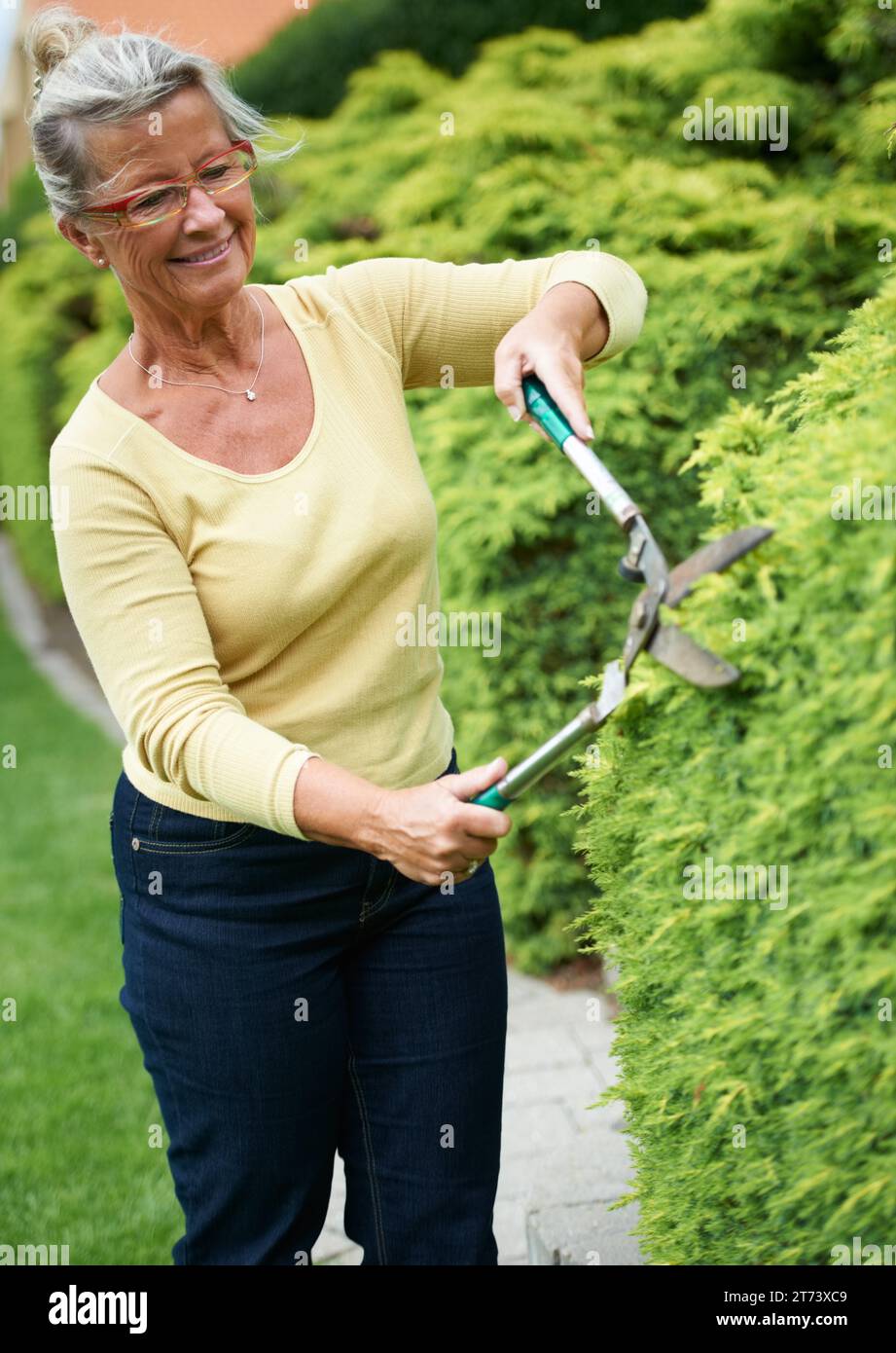 Senior woman, garden hedge and scissors with smile for spring ...