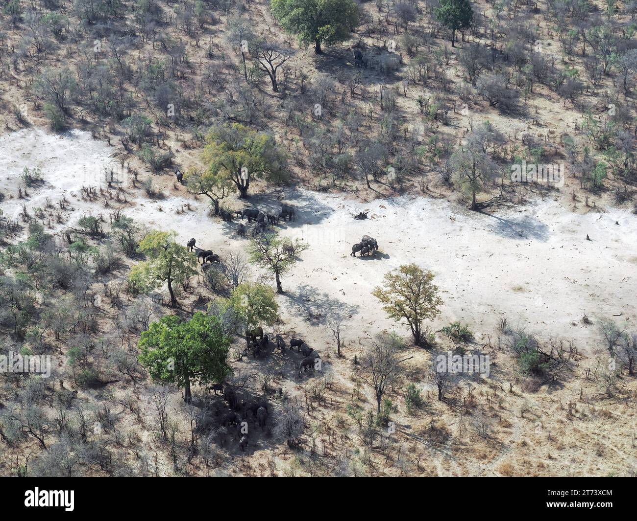 dry season, Zambezi National Park from the air, Zimbabwe, Africa Stock ...